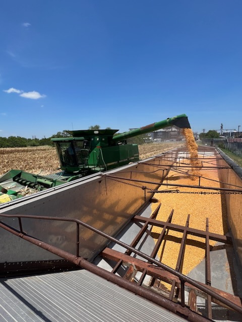 Results - Hybrid85 - Direct-Shipped, Non-GMO Seed Corn starting at $85/unit